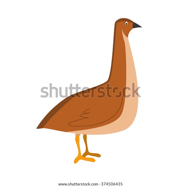Cute Cartoon Quail Vector Illustration Stock Vector (Royalty Free ...
