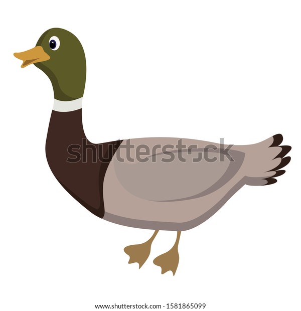 Cute Cartoon Vector Duck Farm Animal Stock Vector (Royalty Free ...