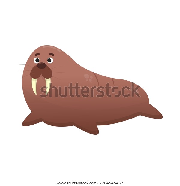 Cute Cartoon Walrus Vector Illustration Isolated Stock Vector (Royalty ...