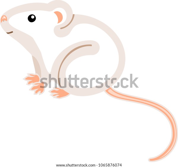 Cute Cartoon White House Mouse On Stock Vector (Royalty Free ...