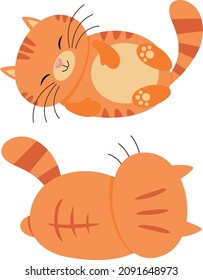 Cute Cat Front Back Stock Vector (Royalty Free) 2091648973