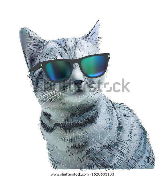 Cute Cat Glasses Young Blue Color Stock Vector (Royalty Free ...