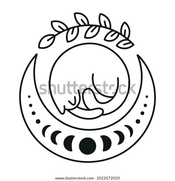 Cute Cat Moon Moon Phases Magical Stock Vector (Royalty Free ...