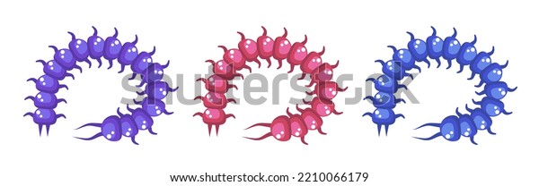Cute Centipedes Set Colored Centipedes Vector Stock Vector (Royalty ...