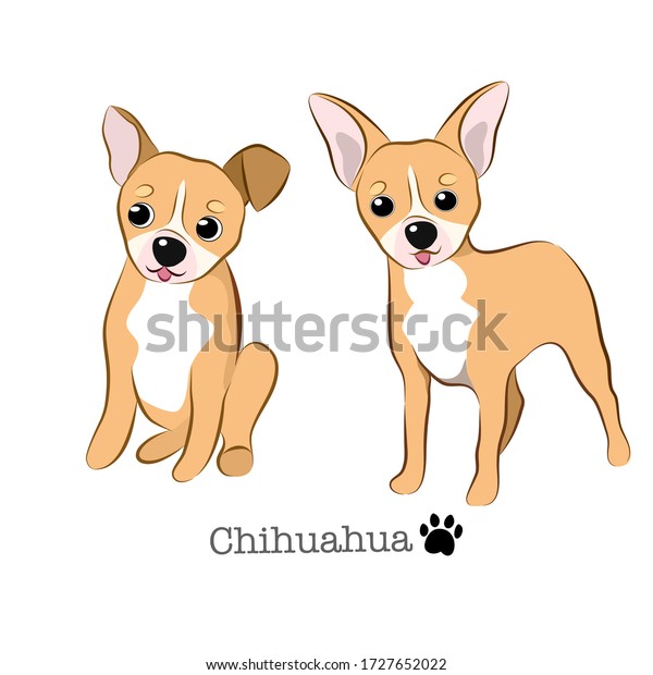 Cute Chihuahua Doodle Collection Different Poses: เวกเตอร์สต็อก (ปลอด ...