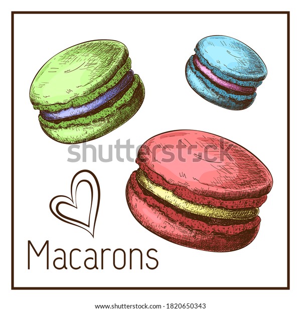 Cute Color Macarons Drawing Isolated On Stock Vector (Royalty Free ...