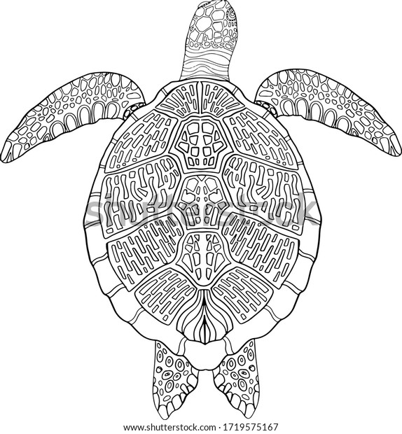 Cute Decorative Turtle Hand Drawn Vector Stock Vector (Royalty Free ...