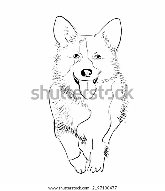 Cute Dog Drawing Line Art Stock Vector (Royalty Free) 2197100477 ...