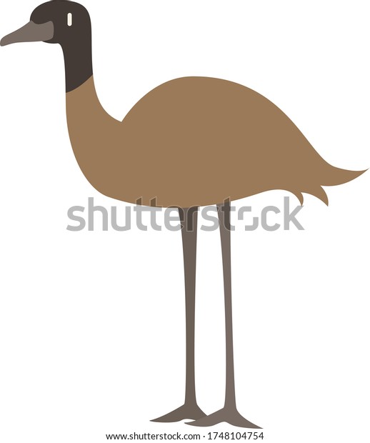 Cute Emu Cartoon Vector Illustration Emu Stock Vector (Royalty Free ...