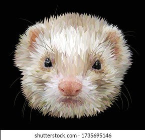529 Beige ferret Images, Stock Photos & Vectors | Shutterstock