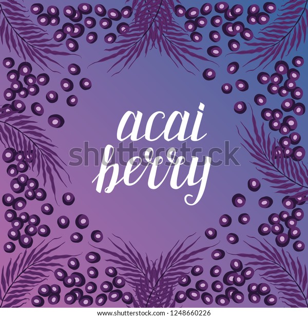 Cute Frame Acai Berries Hand Drawn Stock Vector (Royalty Free ...