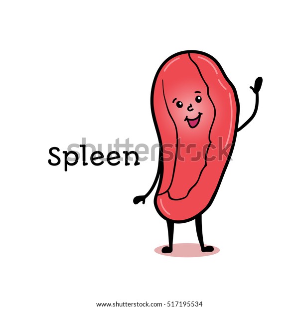 Cute Funny Human Spleen Character Cartoon : image vectorielle de stock ...
