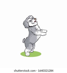Cute Gray Dog Standing Vector Stock Vector (Royalty Free) 1640321284 ...