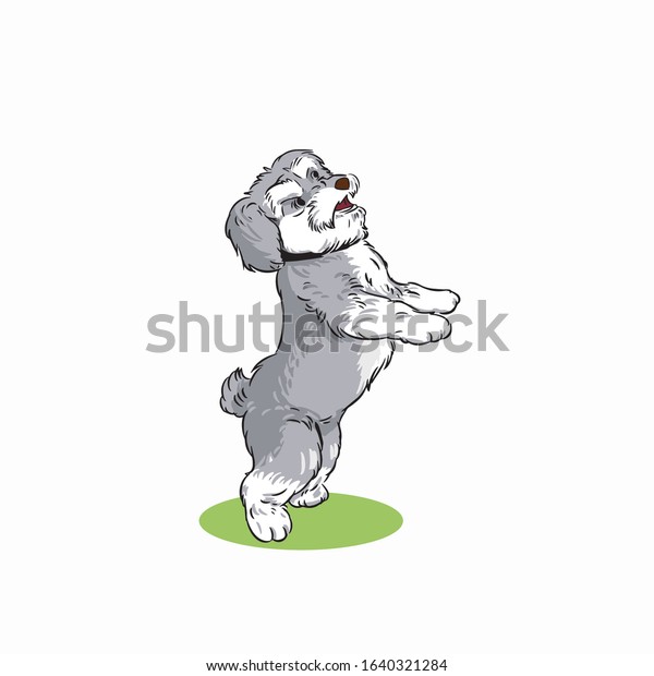 Cute Gray Dog Standing Vector Stock Vector (Royalty Free) 1640321284 ...