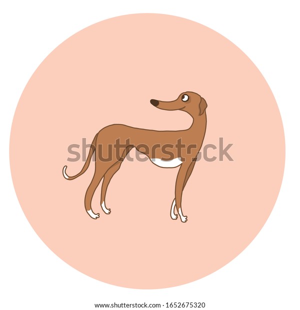 Cute Hand Drawn Cartoon Vector Greyhound Stock Vector (Royalty Free ...
