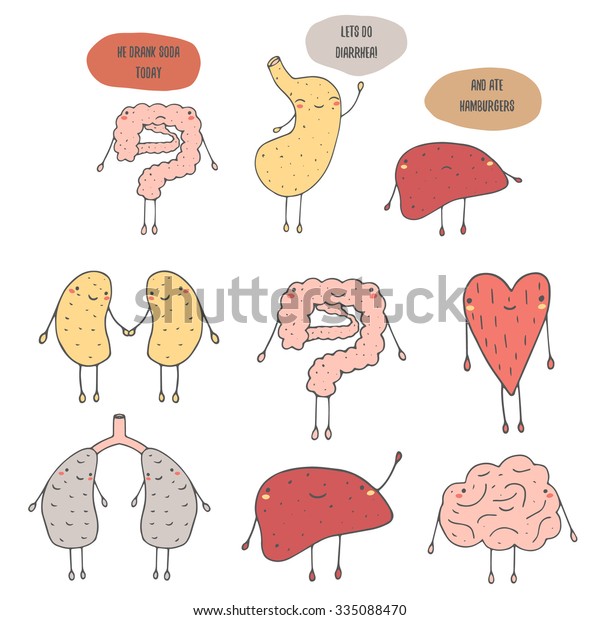 Cute Hand Drawn Doodle Internal Human Stock Vector (Royalty Free ...