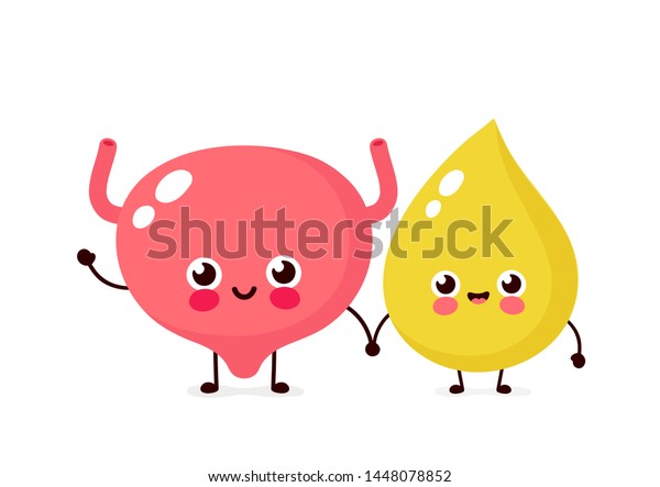 Cute happy smiling urine drop and bladder friends character. Vector ...