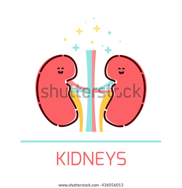 Stock vektor „Cute Healthy Kidneys Icon Made Cartoon“ (bez autorských ...