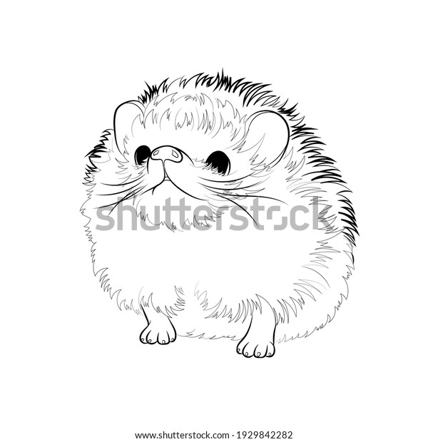 Cute Hedgehog Line Drawing Black White Stock Vector (Royalty Free ...