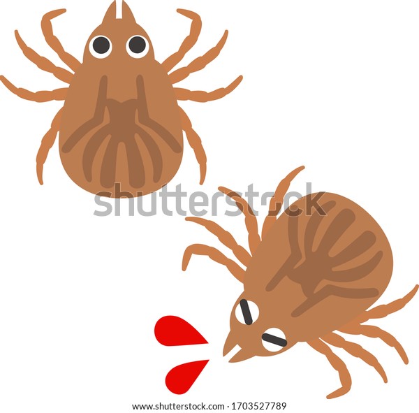 Cute Illustration Biting Tick Stock Vector (Royalty Free) 1703527789 ...