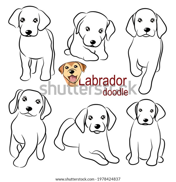 Cute Labrador Retriever Dog Doodle Collection Stock Vector (Royalty ...