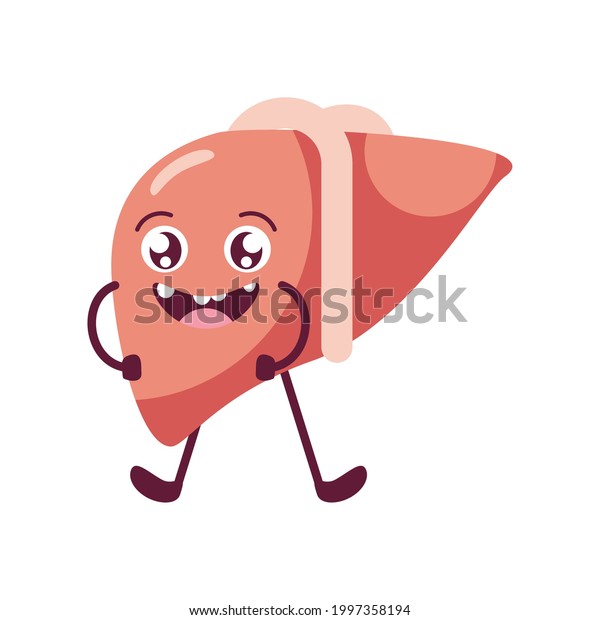 Cute Liver Human Organ Isolated Stock Vector (Royalty Free) 1997358194 ...