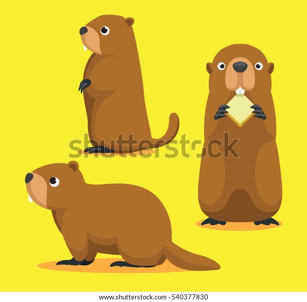Cute Marmot Cartoon Vector Illustration Stock Vector (Royalty Free ...