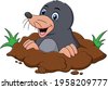 5,649 Mole Cartoon Royalty-Free Images, Stock Photos & Pictures ...