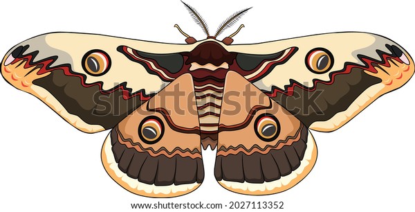 Cute Moth Cartoon Vector Illustration Stock Vector (Royalty Free ...