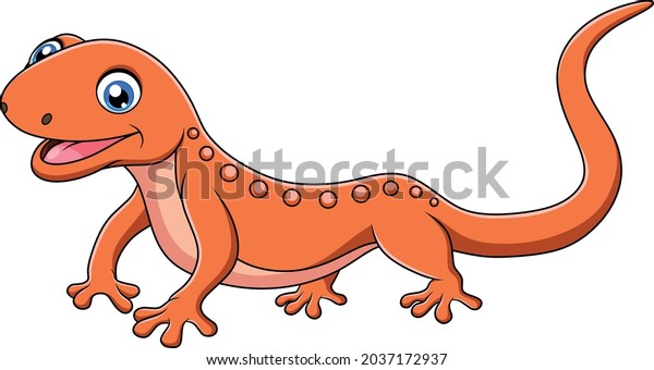 Vektor Stok Cute Newts Cartoon Vector Illustration (Tanpa Royalti ...