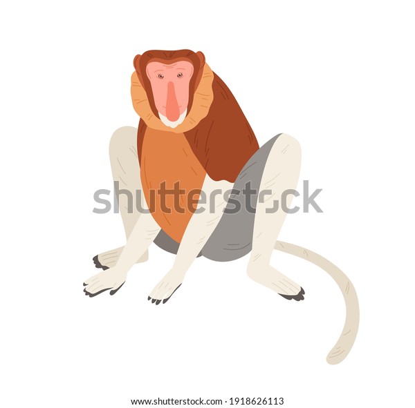 114 Bekantan Vector Images, Stock Photos & Vectors | Shutterstock