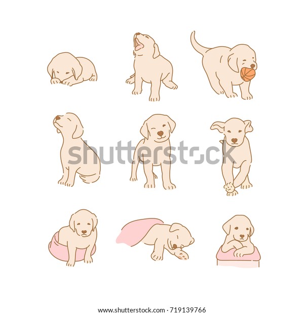 Cute Puppy Various Behaviors Character Line 스톡 벡터(로열티 프리) 719139766