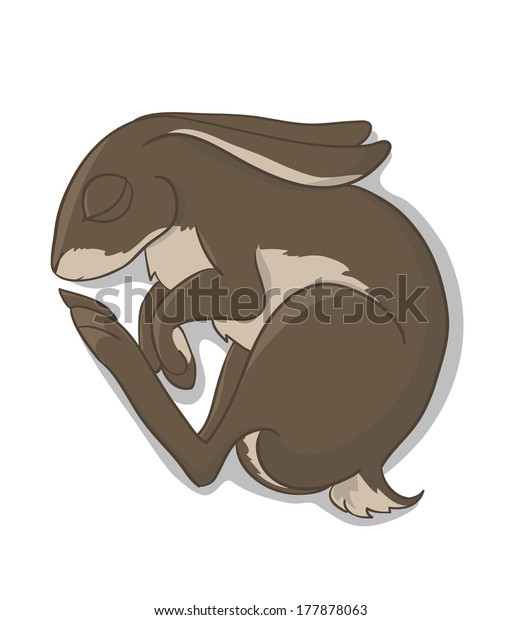 Cute Rabbit Sleeps Curl Vector Illustration Stock Vector (Royalty Free ...