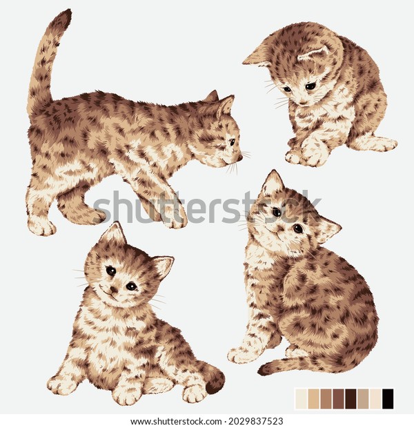 Cute Realistic Cat Vector Illustration Stock Vector (Royalty Free ...