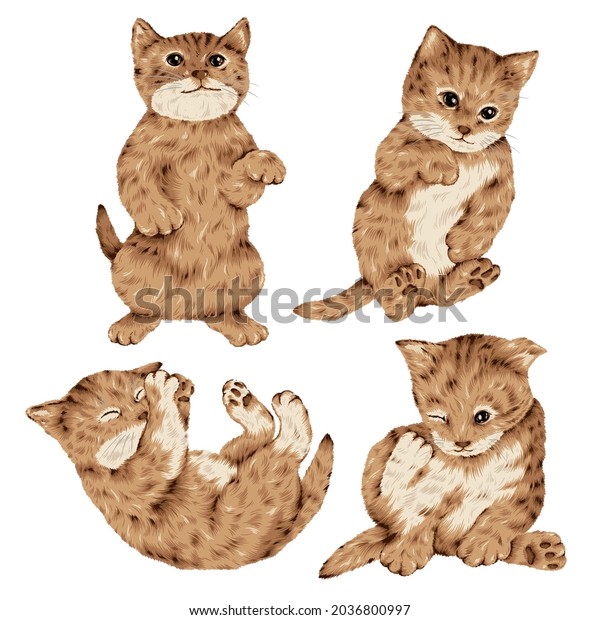 Cute Realistic Cat Vector Illustration Stock Vector (Royalty Free ...