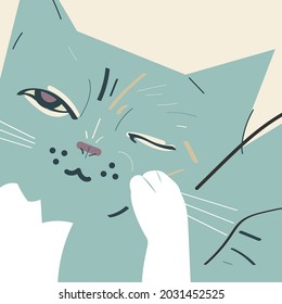 Cute Scratch Cat Face Illustration Stock Vector (Royalty Free ...