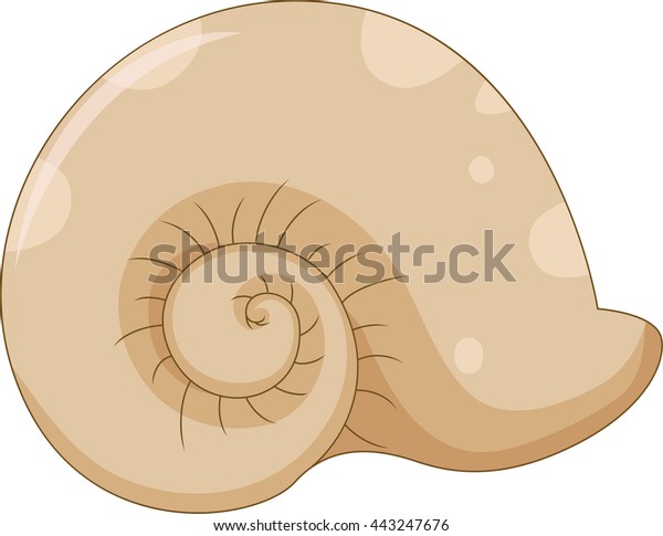 Cute Seashell Cartoon You Design Stock Vector (Royalty Free) 443247676 ...