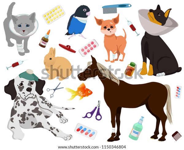 Cute Set Sick Animals Veterinary Medicines Stock Vector (Royalty Free ...