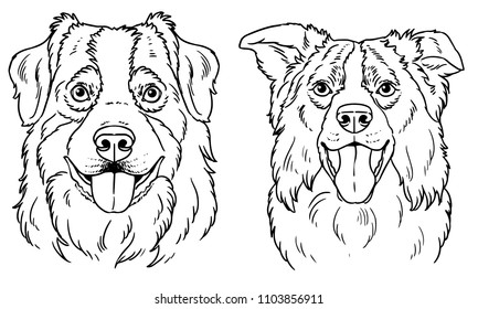 Cute Sheepdog Line Stock Vector (Royalty Free) 1103856911 | Shutterstock