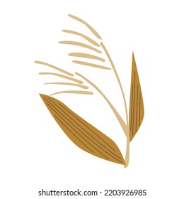 Cute Simple Illustration Pampas Grass Stock Vector (Royalty Free ...