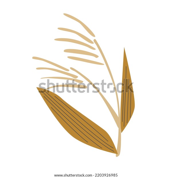 Cute Simple Illustration Pampas Grass Stock Vector (Royalty Free ...