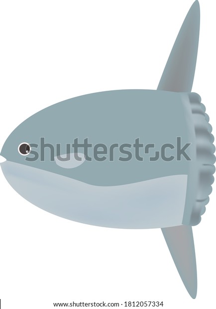 Cute Simple Sunfish Illustration Stock Vector (Royalty Free) 1812057334 ...