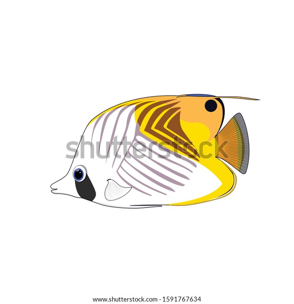 Cute Threadfin Butterflyfish Cartoon Isolated On Stock Vector (Royalty ...