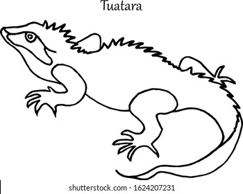 Cute Tuatar Lizard Cartoon Style Amazing Stock Vector (Royalty Free ...