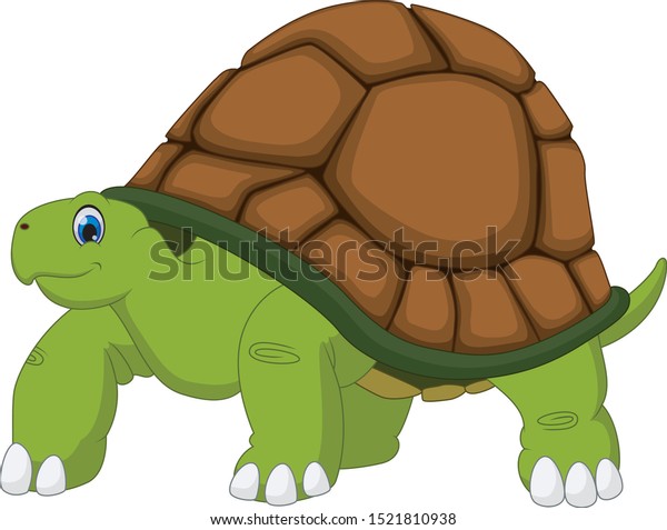 Cute Turtle Cartoon White Background Stock Vector (Royalty Free ...