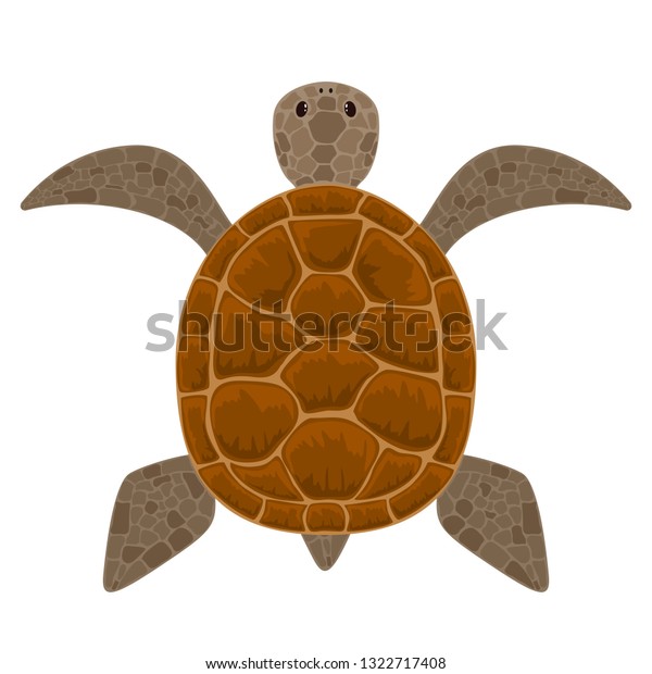 Cute Turtle Isolated On White Background Stock Vector (Royalty Free ...