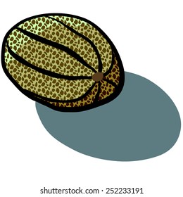Cute Vector Cartoon Cantaloupe: vector de stock (libre de regalías ...
