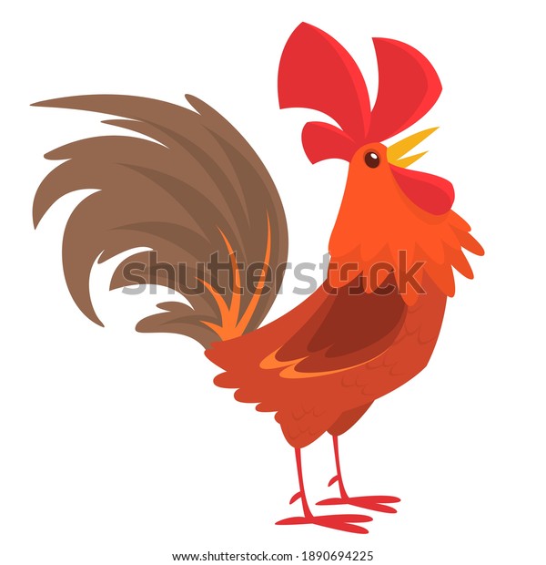 Joli illustration vectorielle de coq isolée : image vectorielle de ...