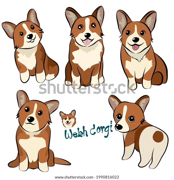 Cute Welsh Corgi Dogs Doodleshand Drawn Stock Vector (Royalty Free ...