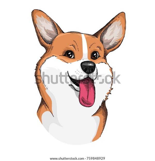Cute Welsh Corgi Face Illustration Hand Stock Vector (Royalty Free ...